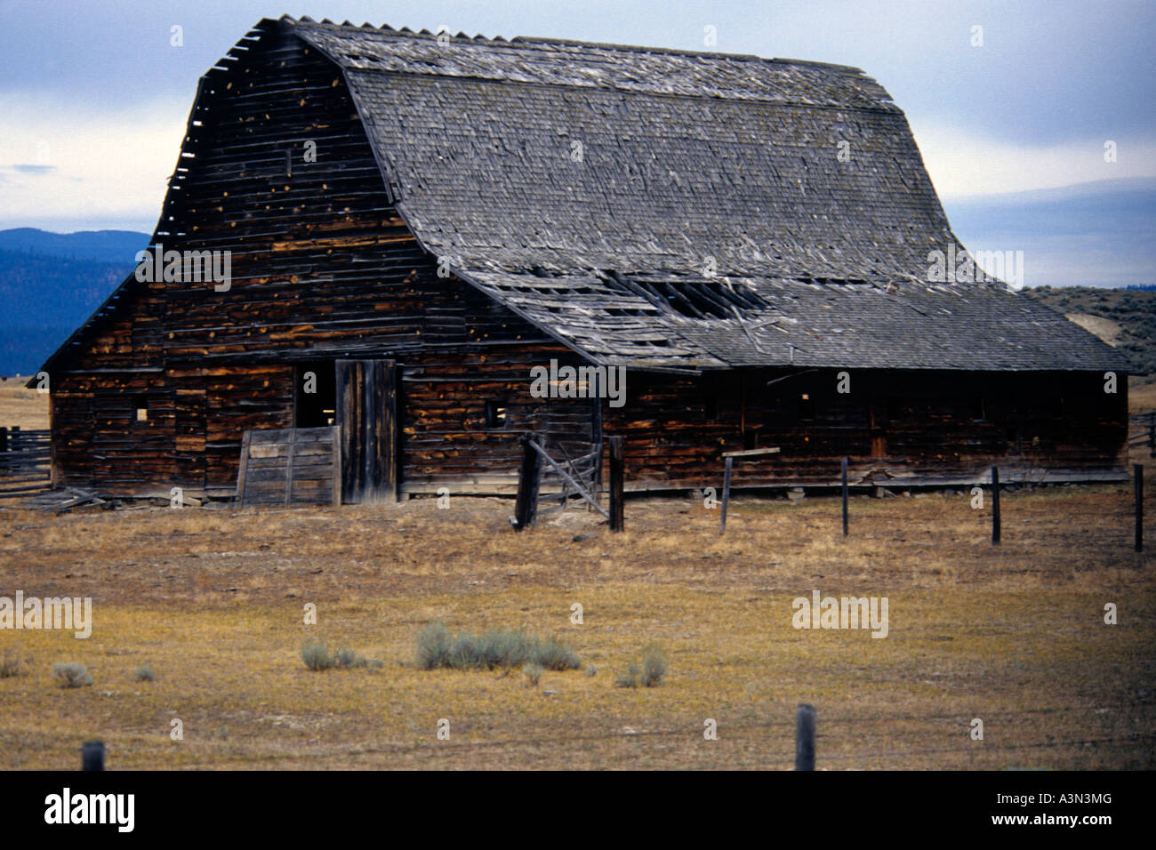 Old barn on cattle ranch hi-res stock photography and images - Alamy