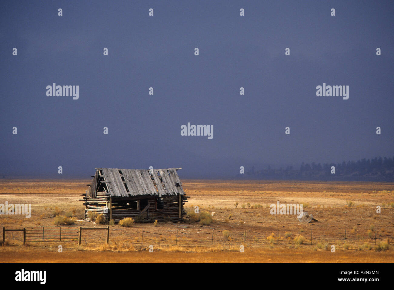 Old Ranch cabin on the Utah Range with approaching storm Stock Photo ...