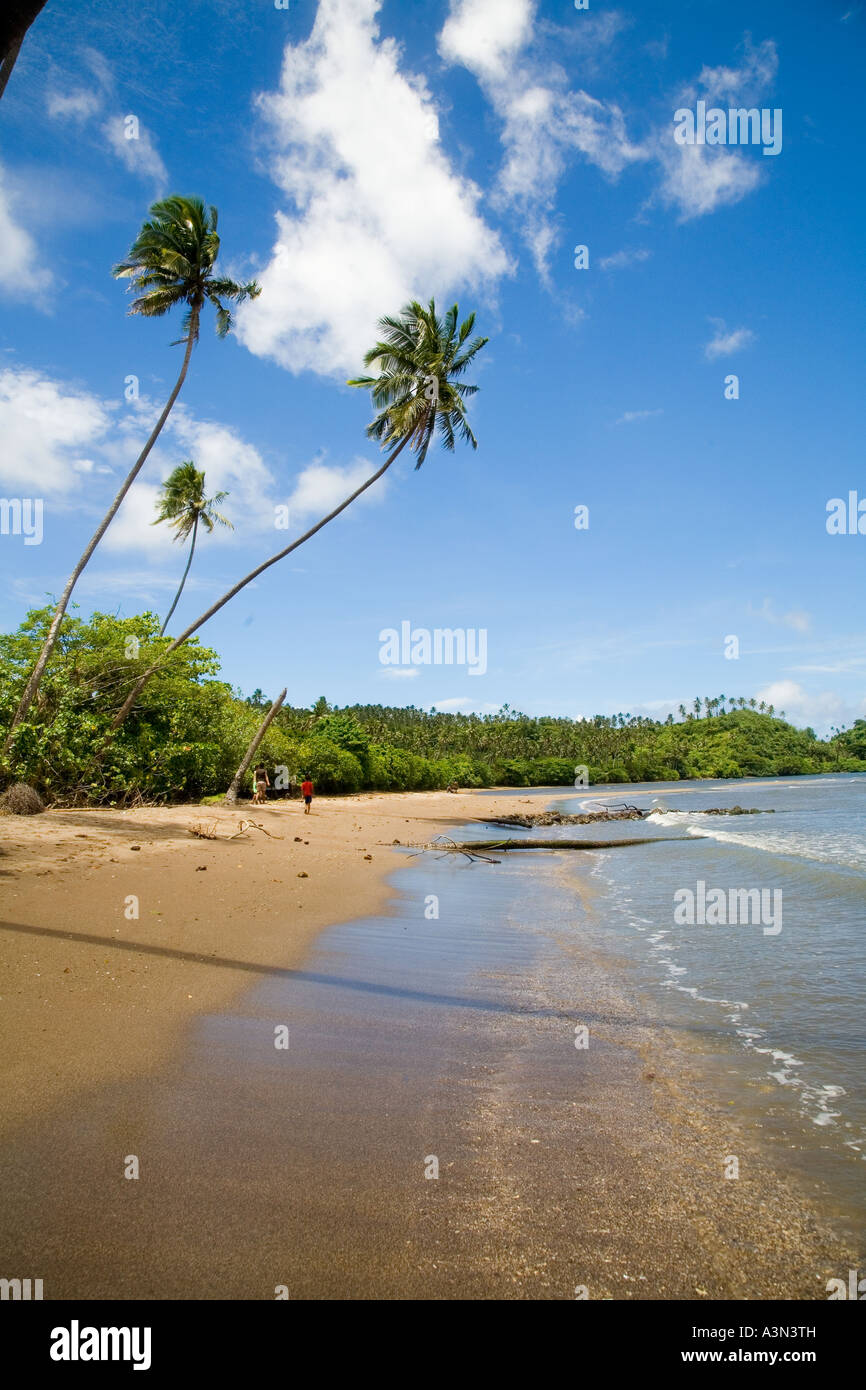 Island of Taveuni Fiji Melanesia South Pacific Stock Photo - Alamy