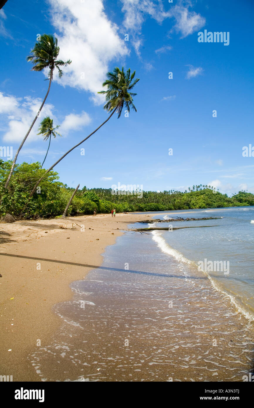 Island of Taveuni Fiji Melanesia South Pacific Stock Photo - Alamy