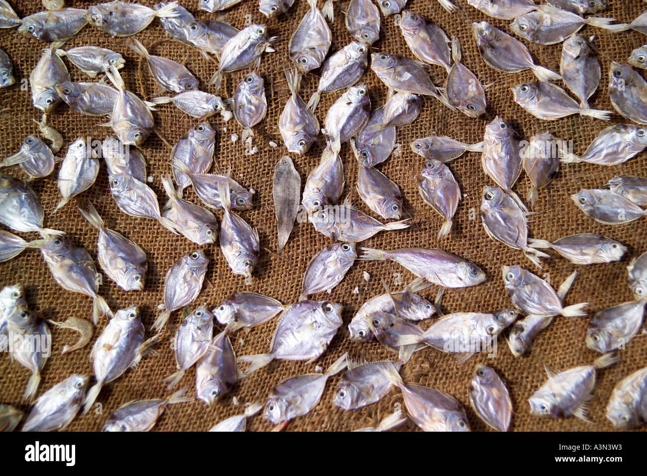 Ponneri Circle High Resolution Stock Photography and Images - Alamy