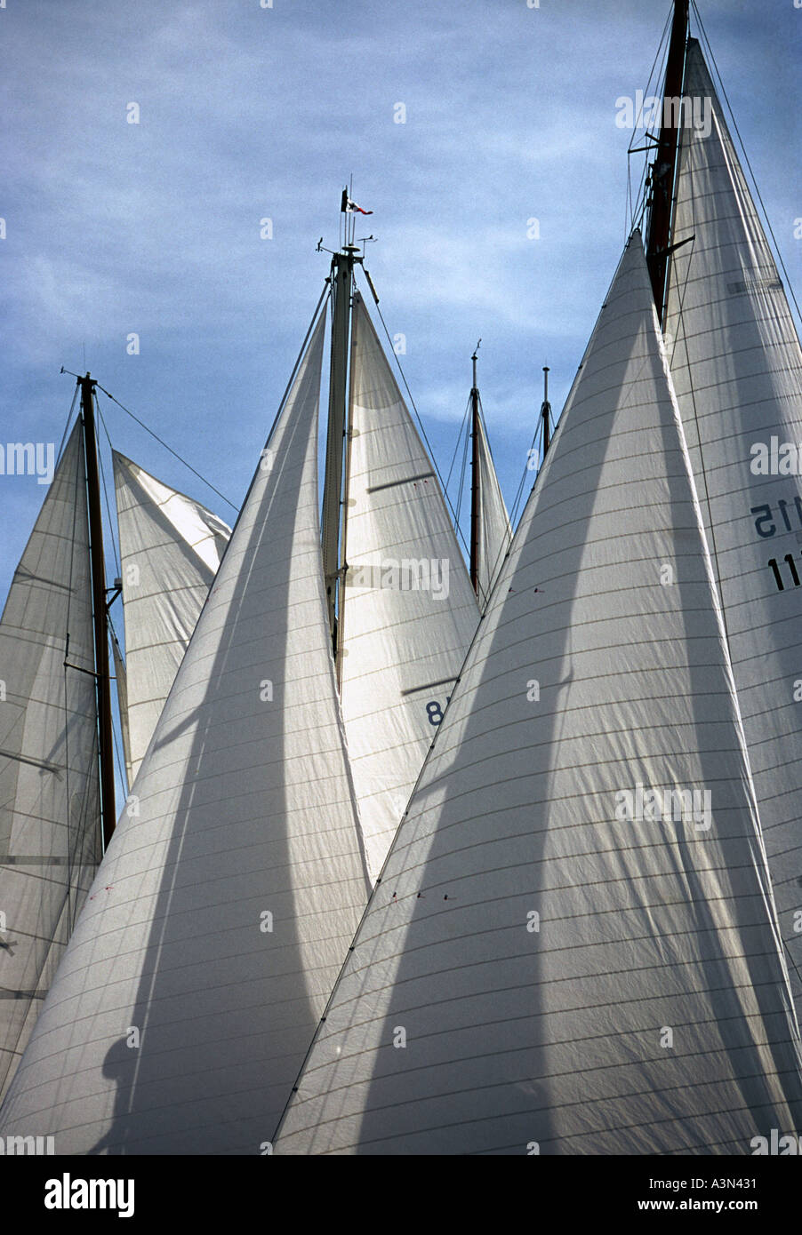 Graphic shapes of Sails Stock Photo - Alamy