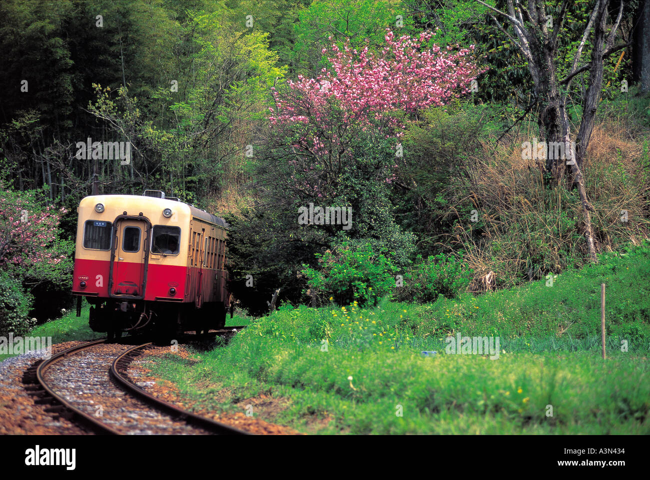 Transportation Train Trees Flowers Traintracks Stock Photo - Alamy