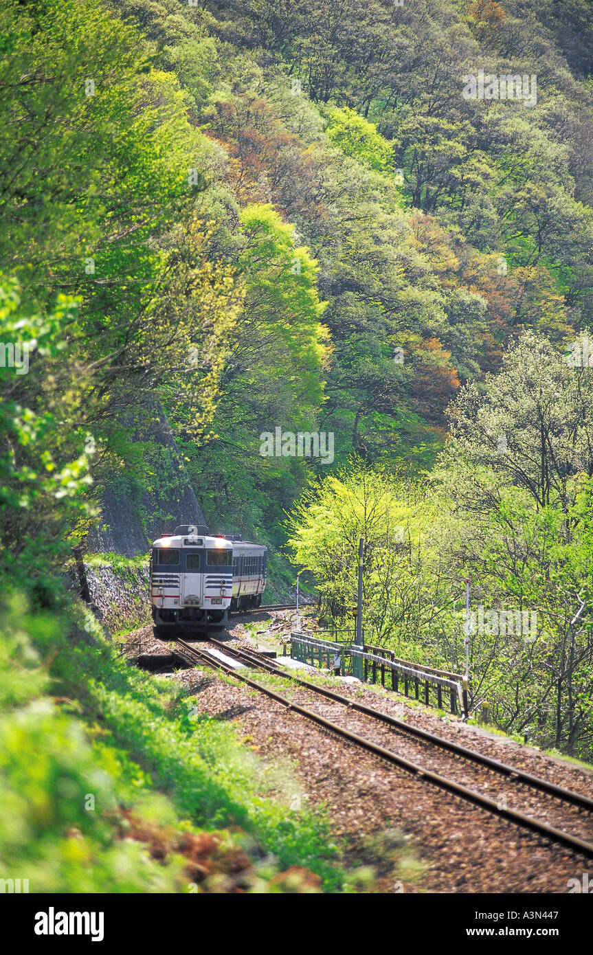 Transportation Train Trees Traintracks Forests Stock Photo - Alamy