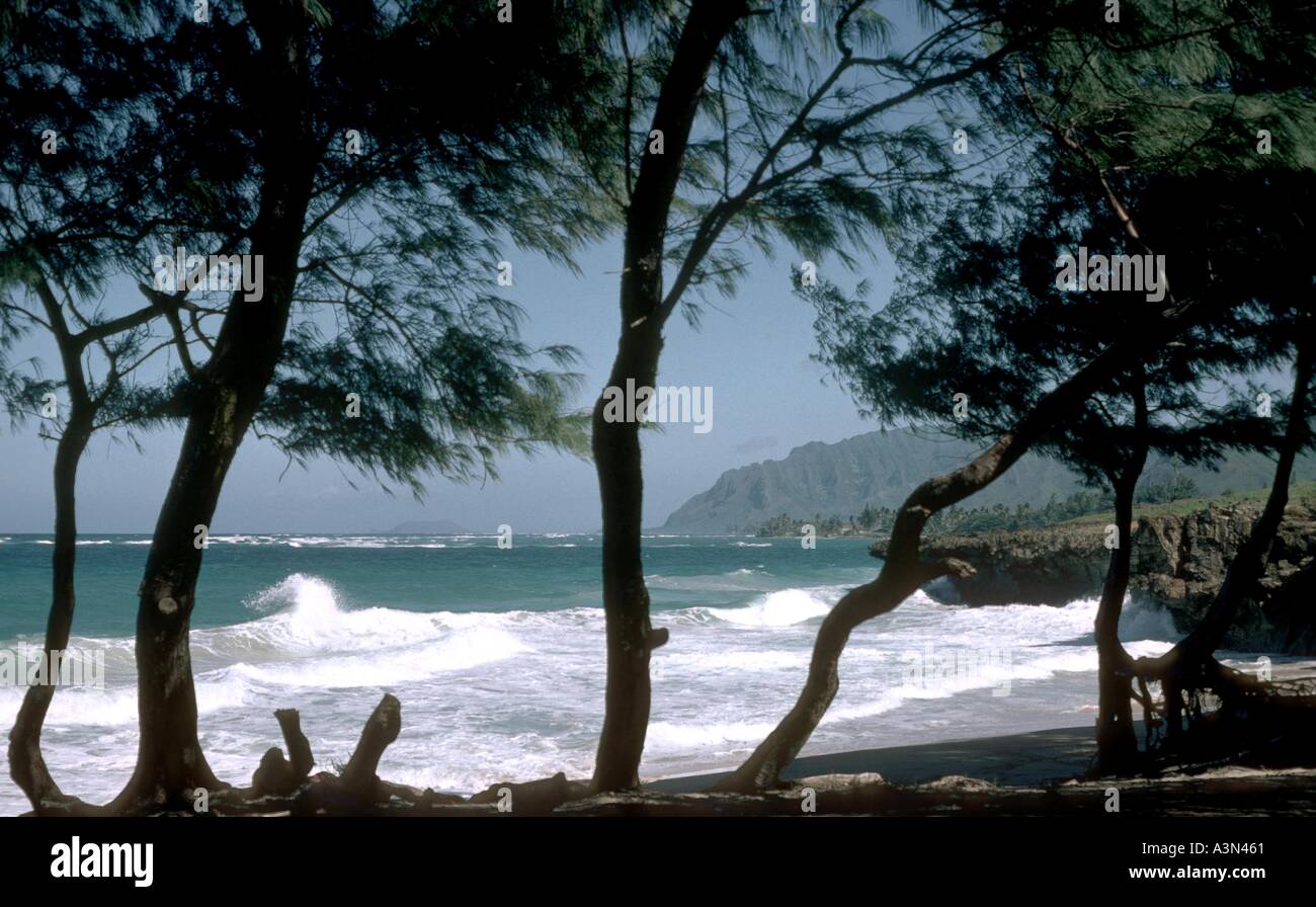 Beach scene through trees on a Caribbean beach Stock Photo - Alamy