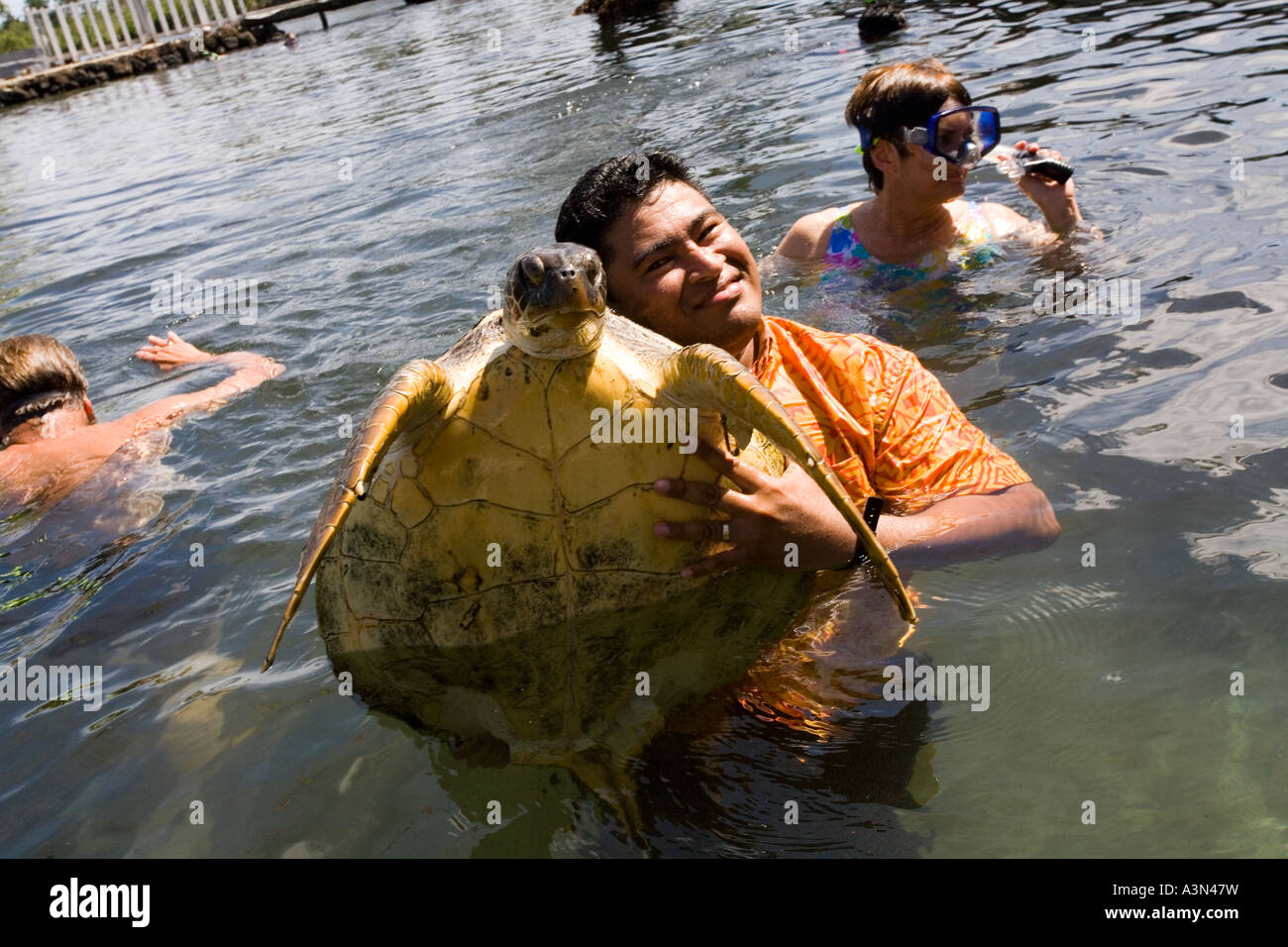 Swimming with the turtles at Satoalepai Savaii Western Samoa Stock ...