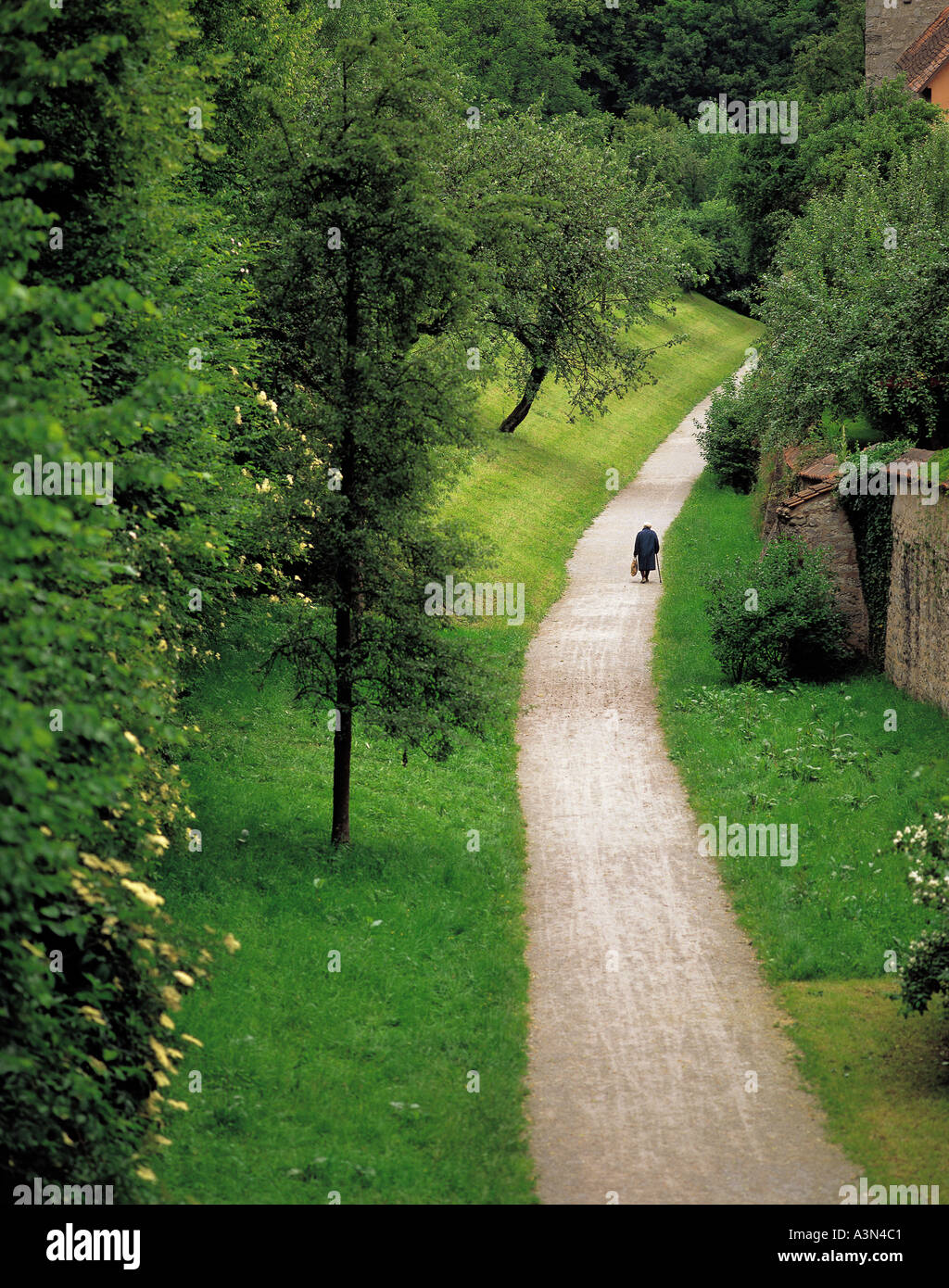 Road Path Trees Building Stock Photo - Alamy