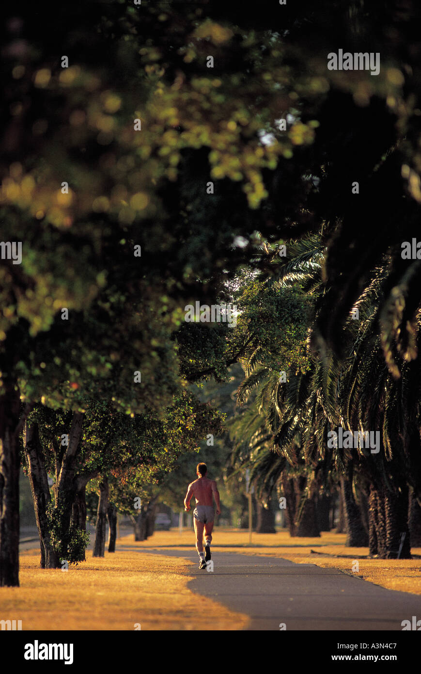 Jogging paths hi-res stock photography and images - Alamy