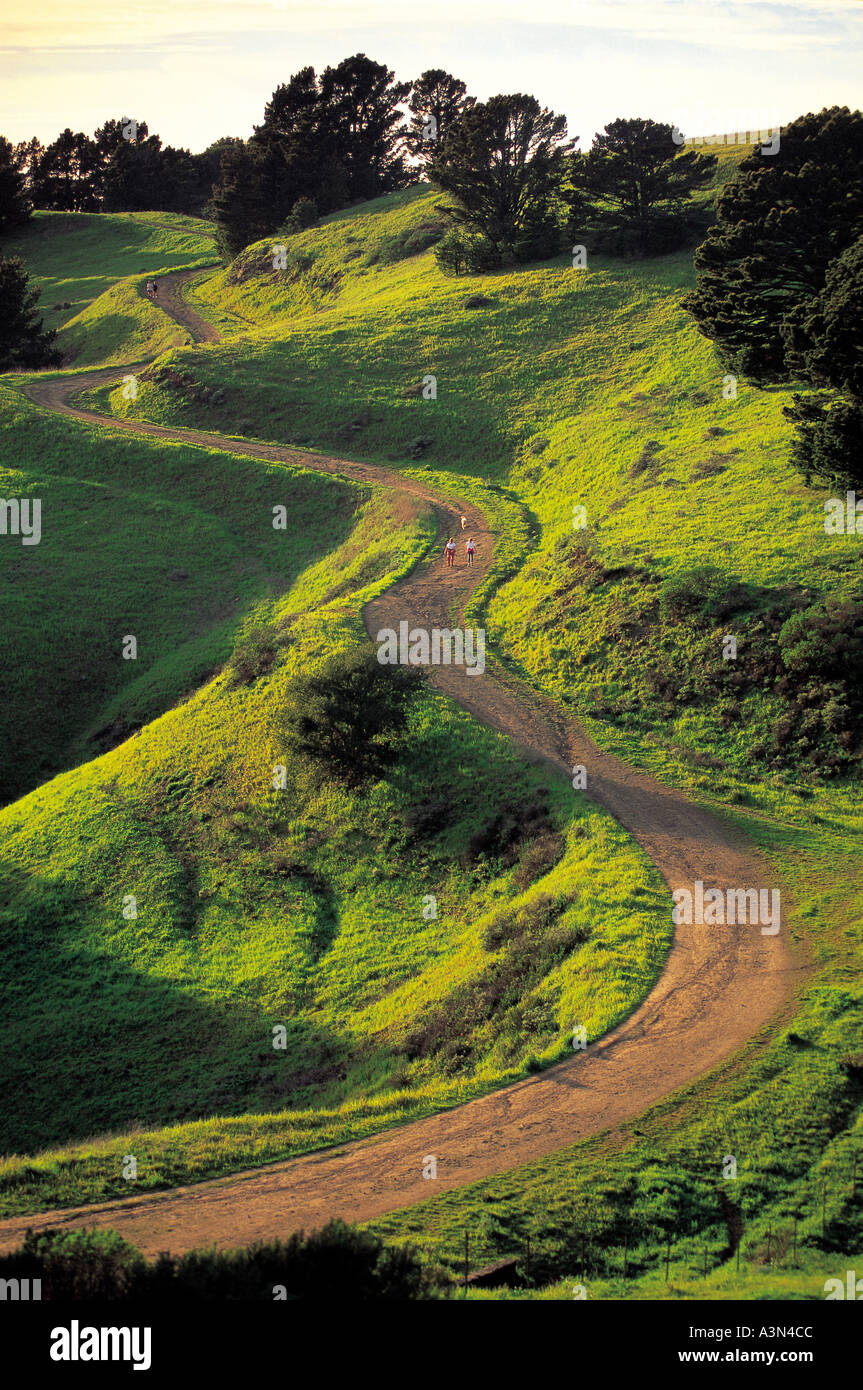 Nature Path Trees Fields Stock Photo - Alamy