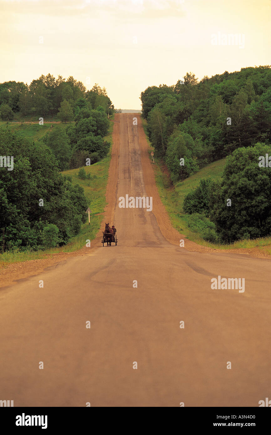 Road Path Trees Sign Stock Photo - Alamy