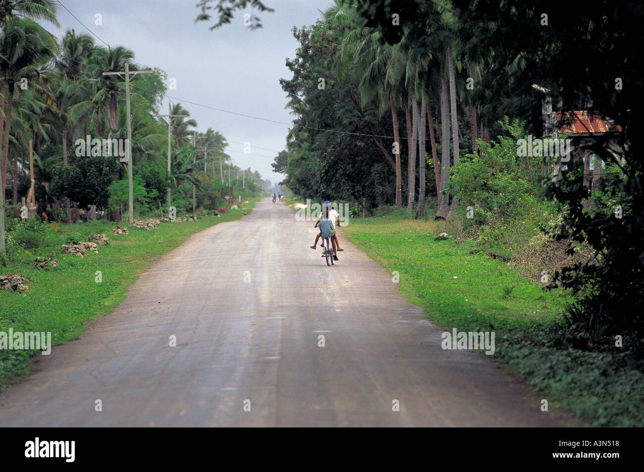Road Transportation Trees Path Sky Bicycle Palm Trees Stock Photo - Alamy