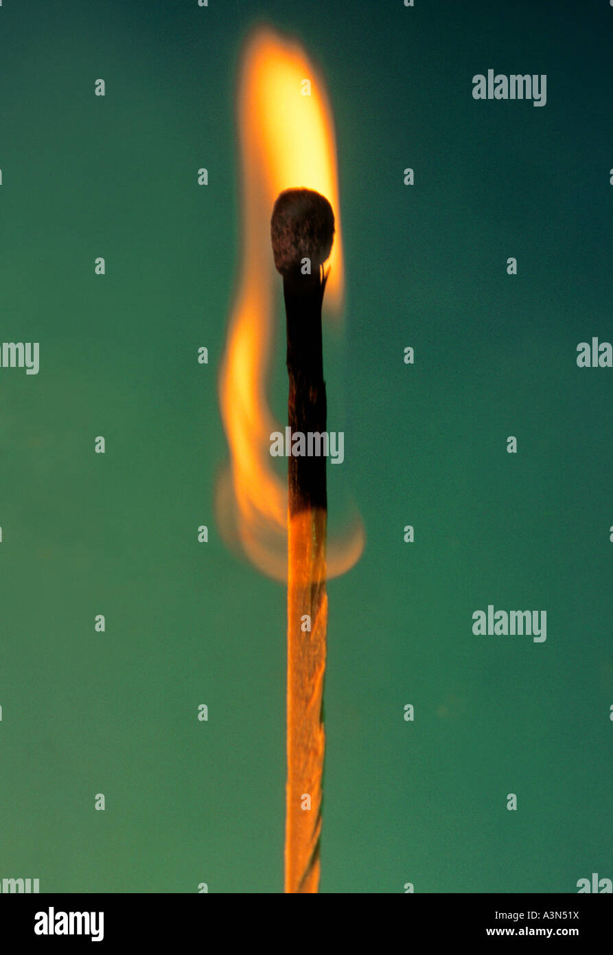 Burning matchstick flame isolated closeup against a green background ...