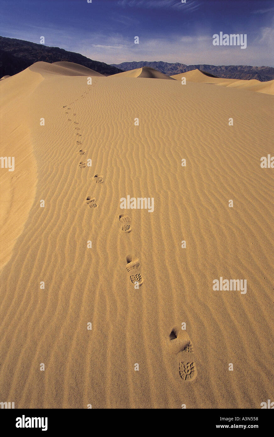Nature Desert Tracks Dunes Footprints Stock Photo - Alamy