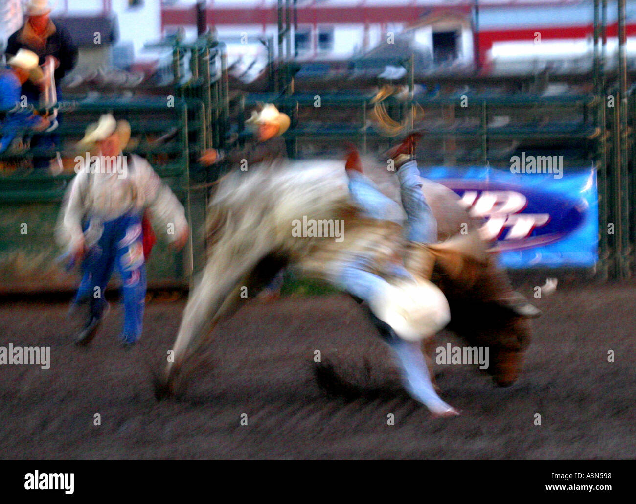 Horizontal Rodeo Stock Photo - Alamy