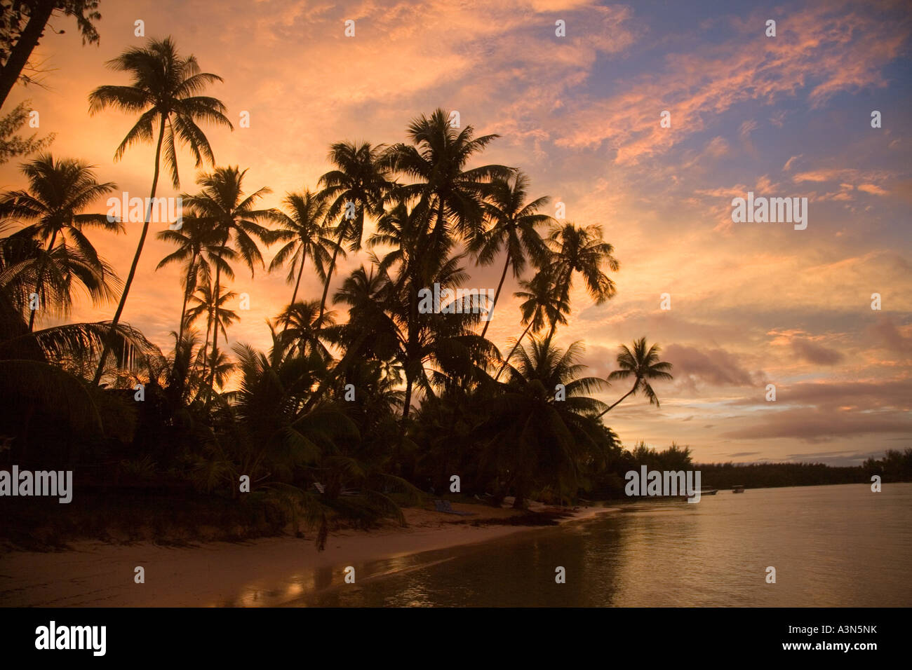Sunset with Palm Trees Les Tipaniers Hotel Moorea French Polynesia ...