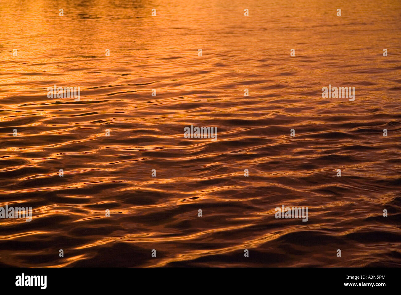 Ripples on water at sunset Stock Photo - Alamy