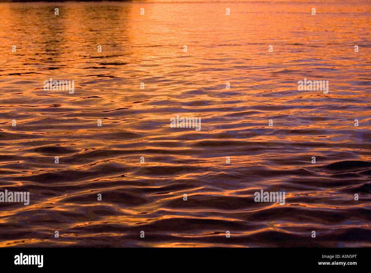 Ripples on water at sunset Stock Photo - Alamy