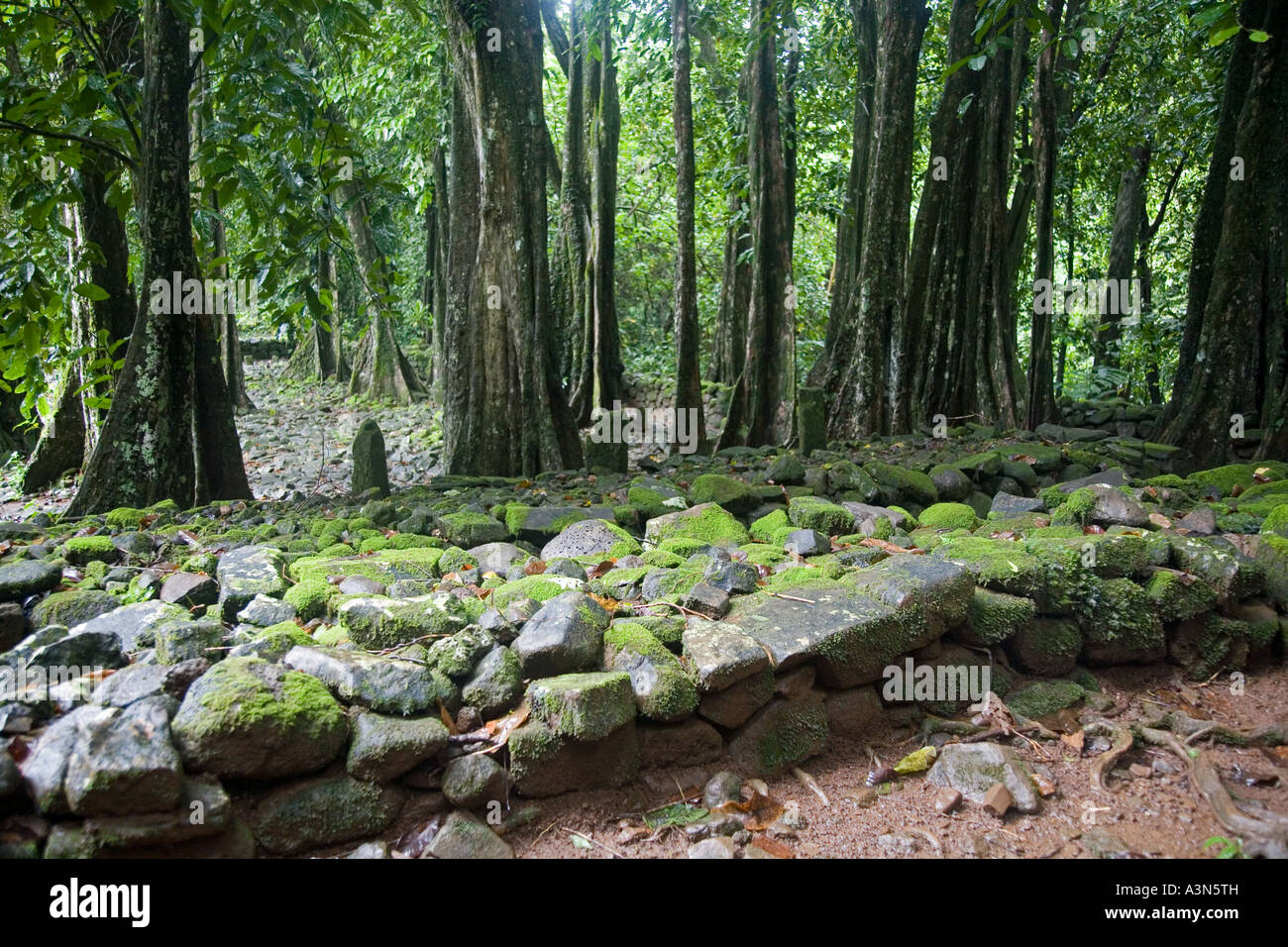 Titiroa Marae Moorea French Polynesia Stock Photo - Alamy