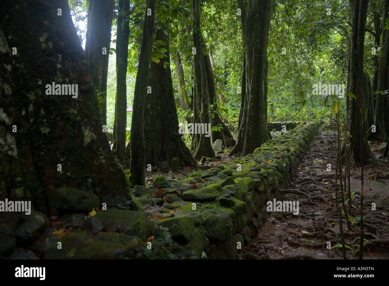 Titiroa Marae Moorea French Polynesia Stock Photo - Alamy