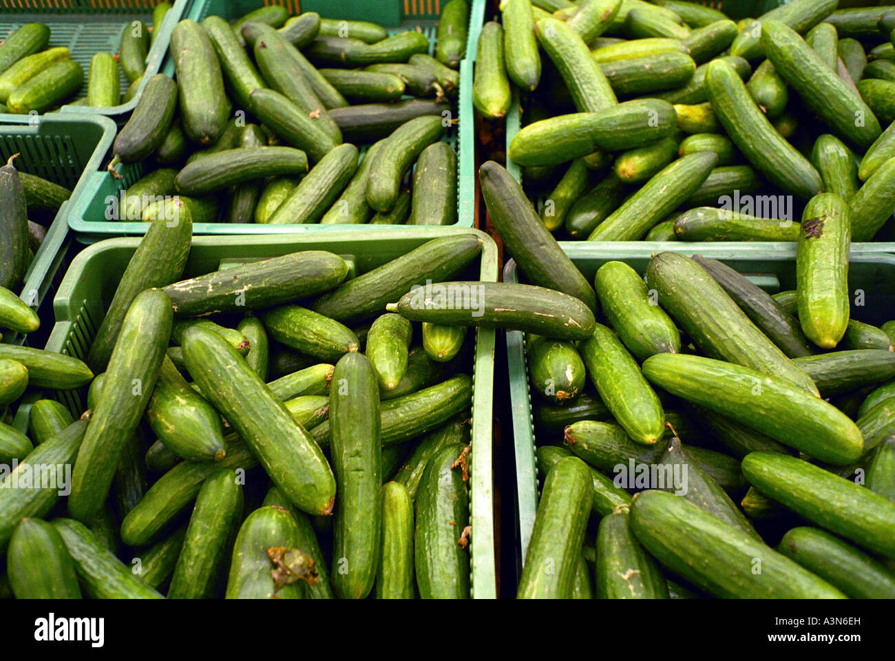 Cucumbers in boxes Stock Photo - Alamy