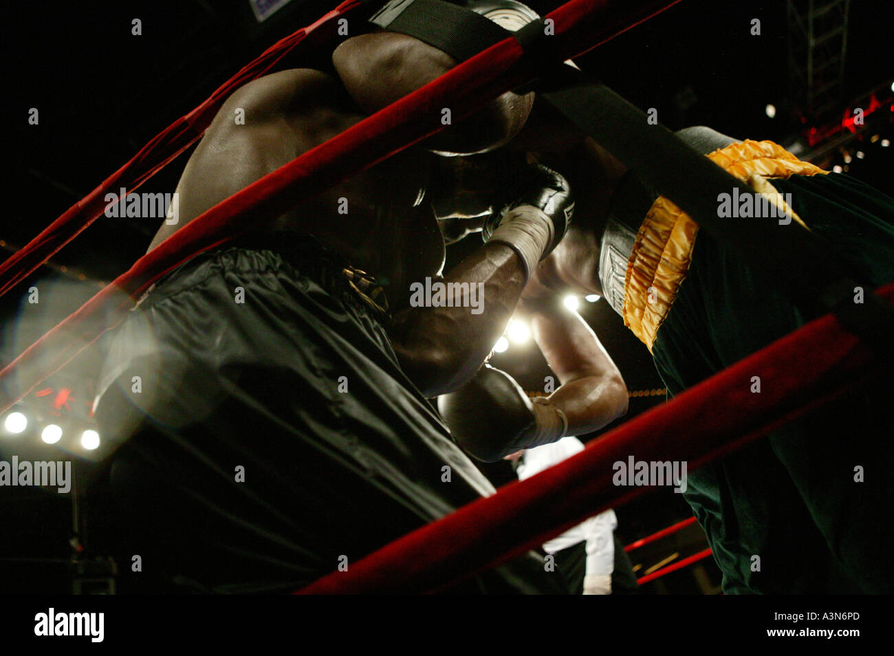 Msg boxing ring hi-res stock photography and images - Alamy