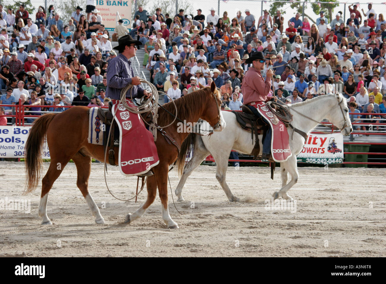 Miami Florida,Homestead,Championship Rodeo,cowboys,horses,lasso ...