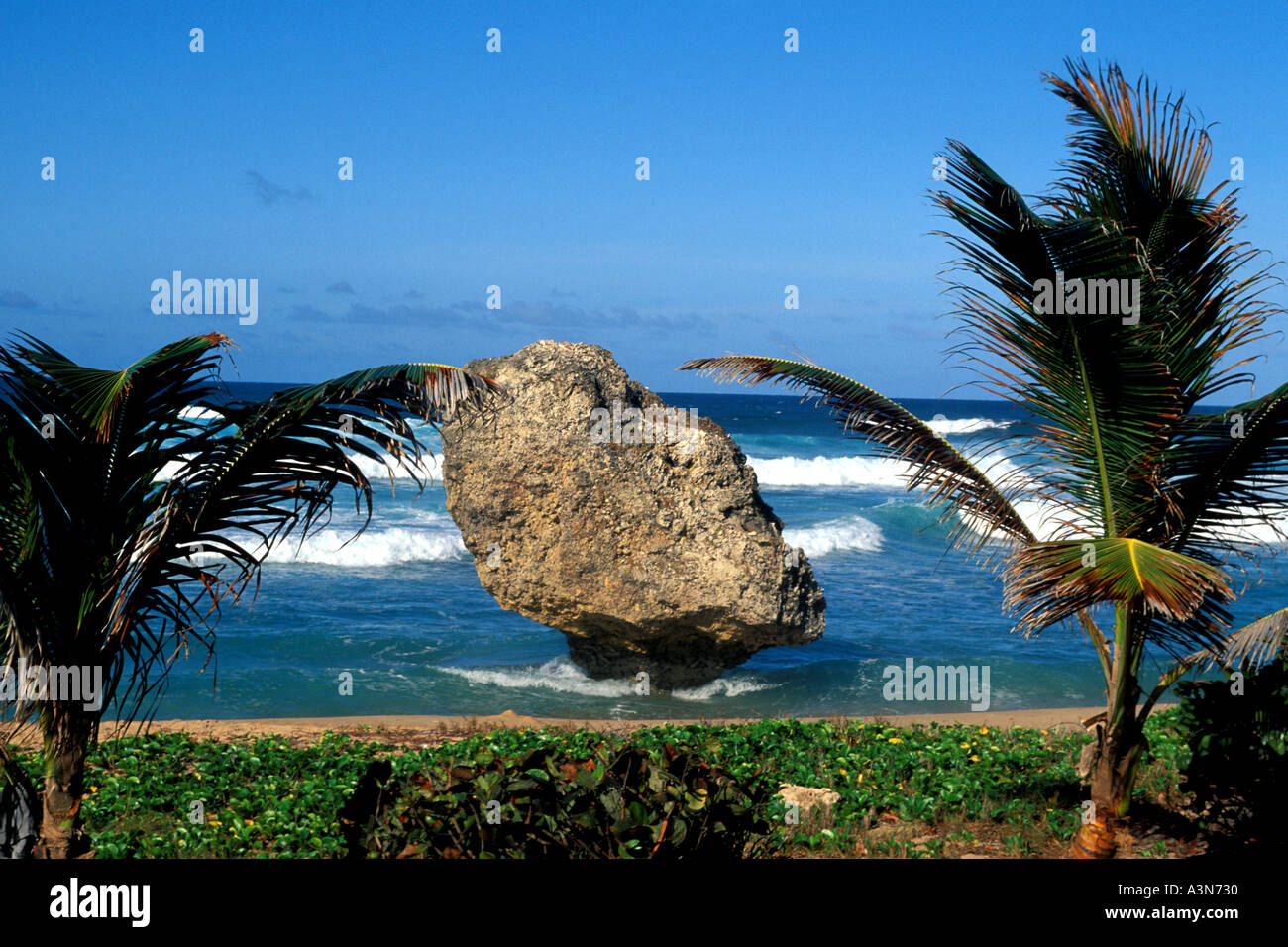Barbados beach Atlantic Coast Bathsheba Area Large Rock Formation that ...