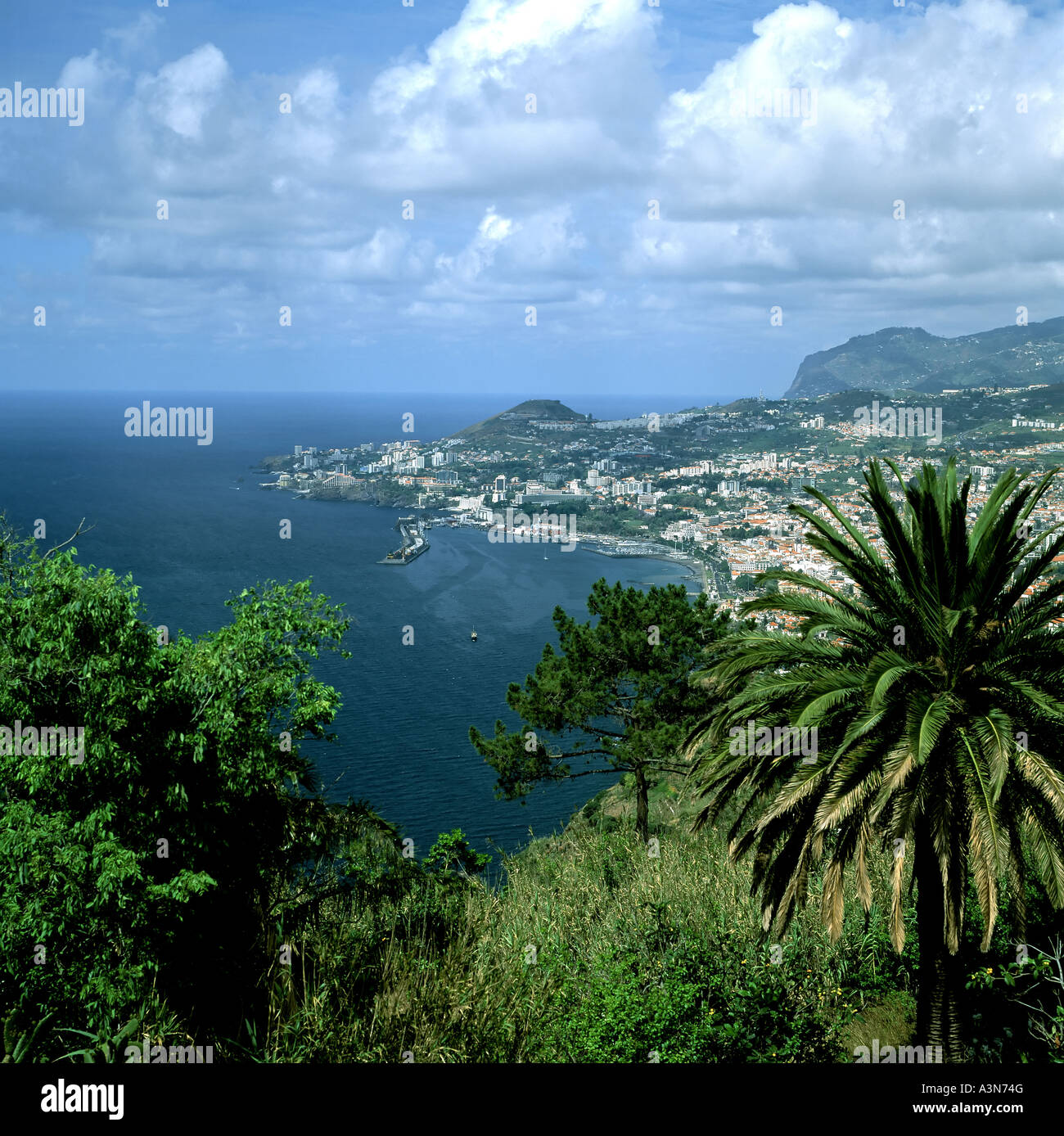 FUNCHAL TOWN SKYLINE WITH HARBOUR AND SEA COASTLINE AERIAL MADEIRA ...