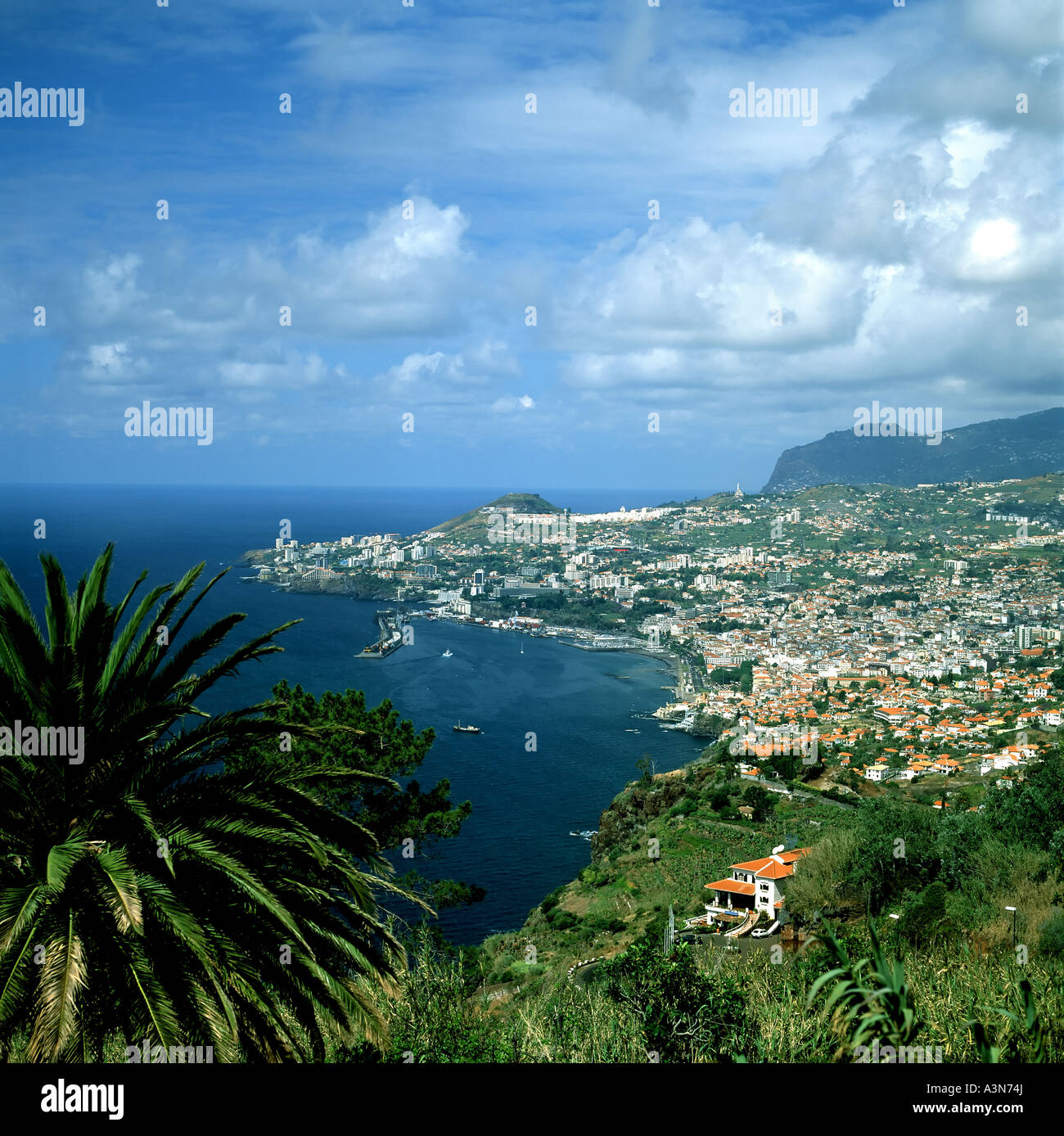 FUNCHAL TOWN SKYLINE WITH HARBOUR AND SEA MADEIRA ISLAND PORTUGAL Stock ...