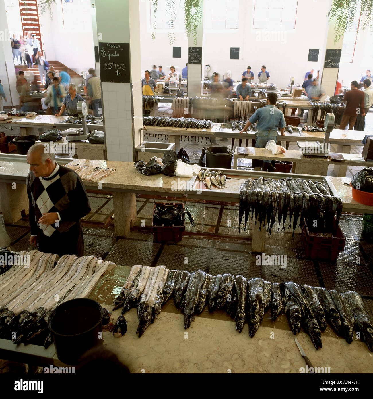 MERCADO DOS LAVRADORES FISH MARKET FUNCHAL MADEIRA ISLAND PORTUGAL ...