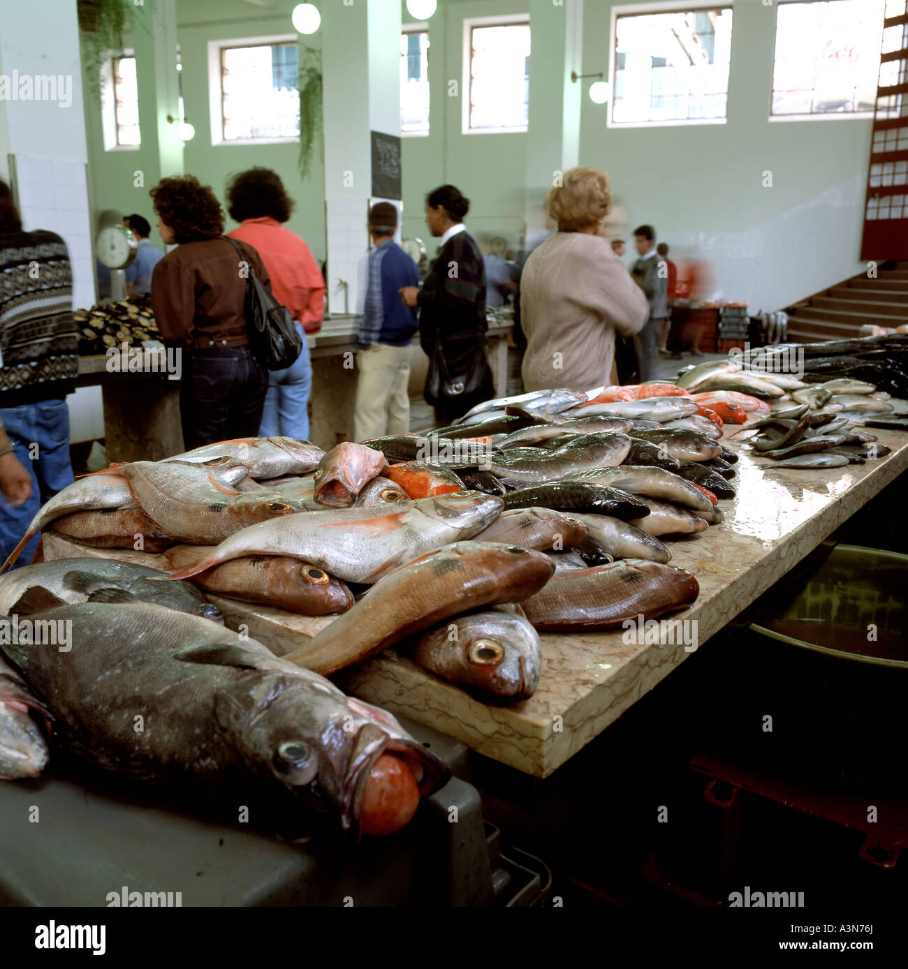 MERCADO DOS LAVRADORES FISH MARKET FUNCHAL MADEIRA ISLAND PORTUGAL ...