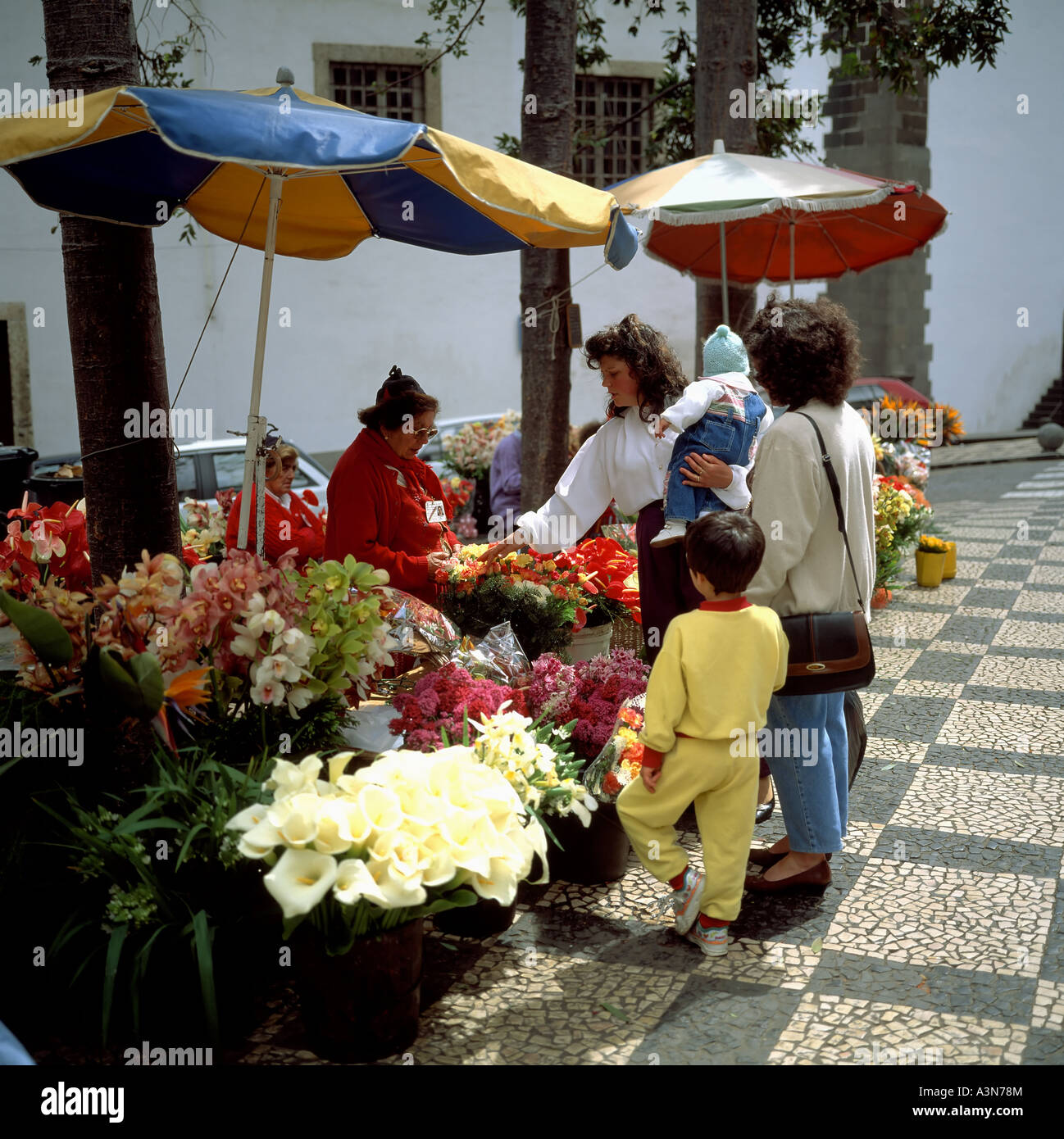 Children portugal activity hi-res stock photography and images - Alamy