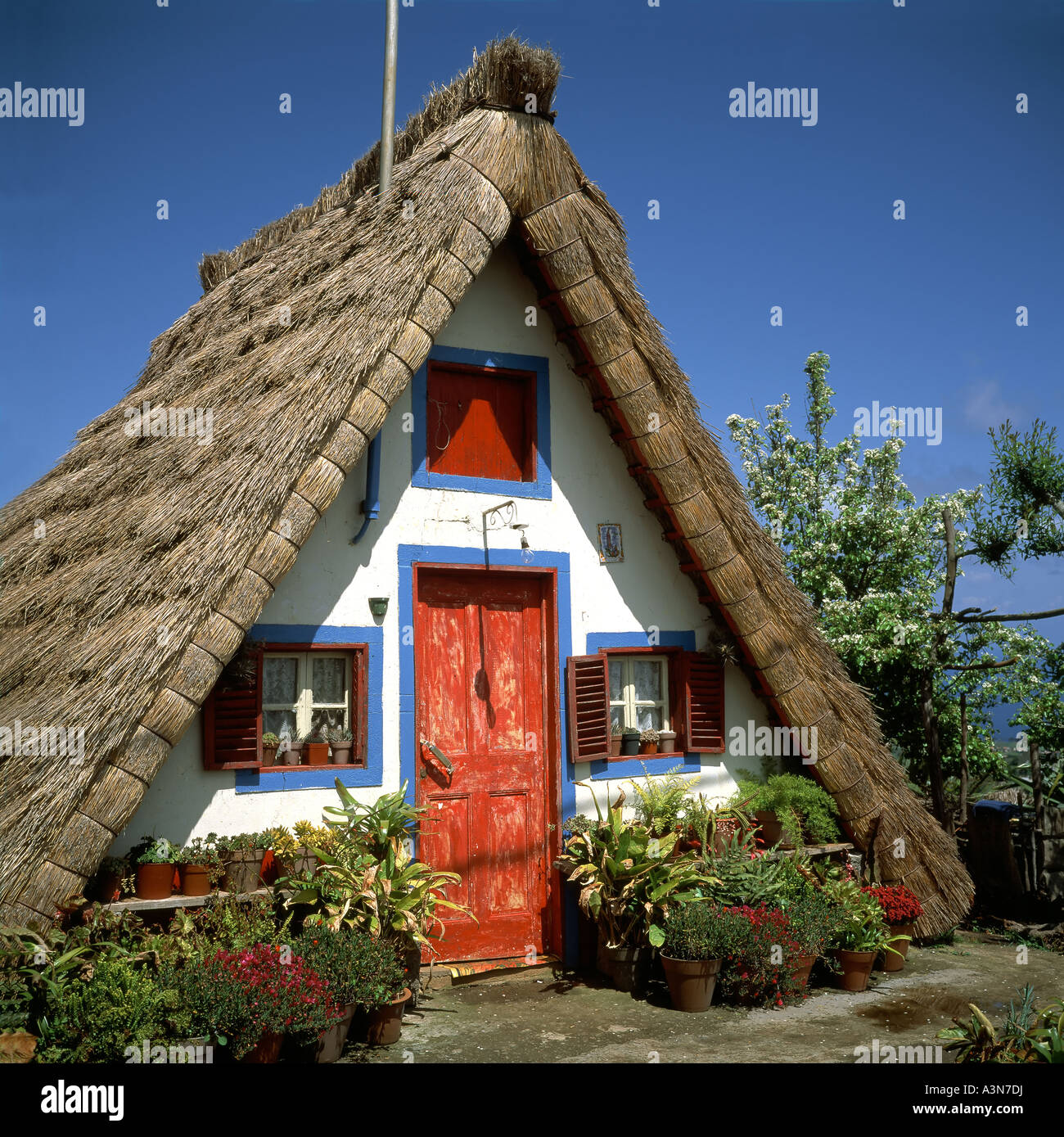 PALHEIRO TRADITIONAL THATCHED HOUSE SANTANA VILLAGE MADEIRA ISLAND ... PALHEIRO TRADITIONAL THATCHED HOUSE SANTANA VILLAGE MADEIRA ISLAND ...