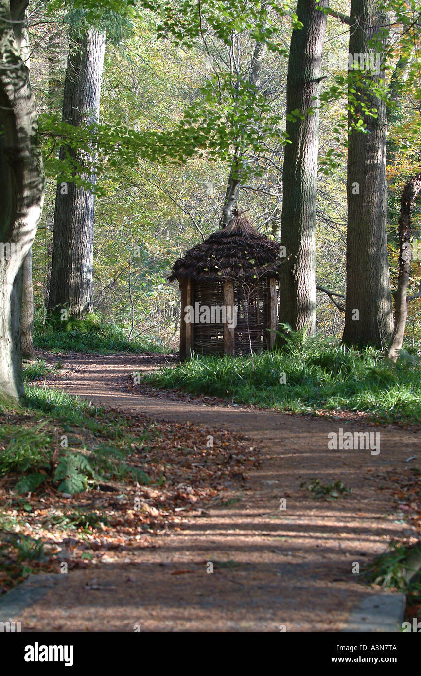 Woodland bird watching hide Stock Photo - Alamy