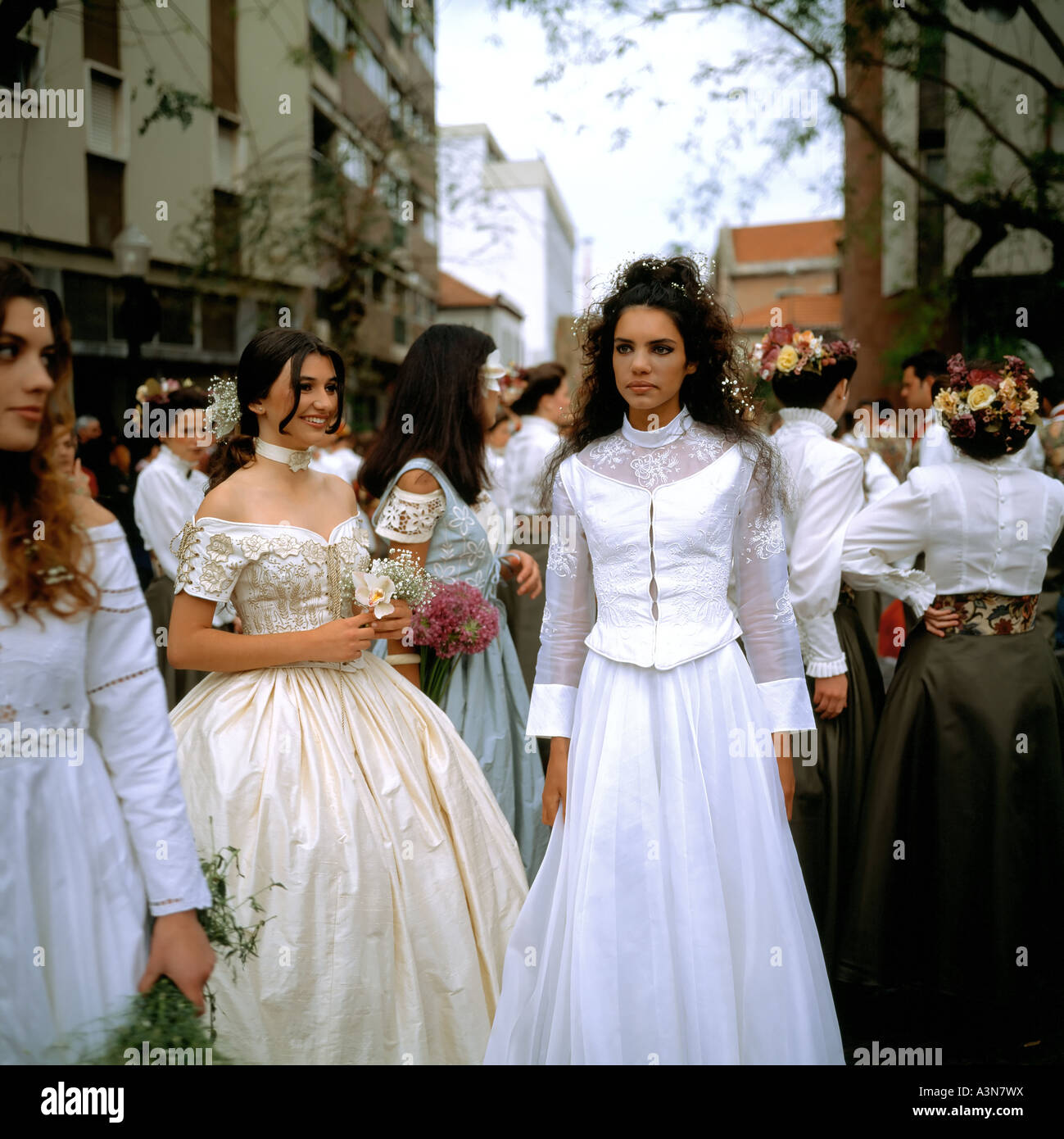 Princess Diaries Wedding Dress