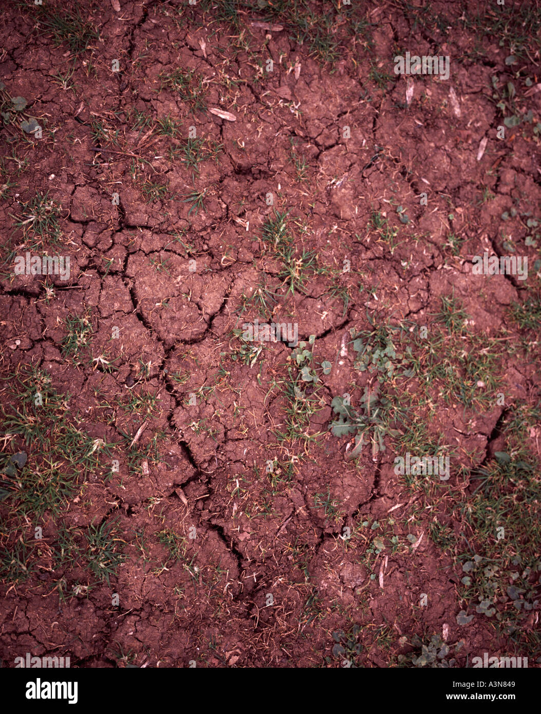 Intense sun soil hi-res stock photography and images - Alamy