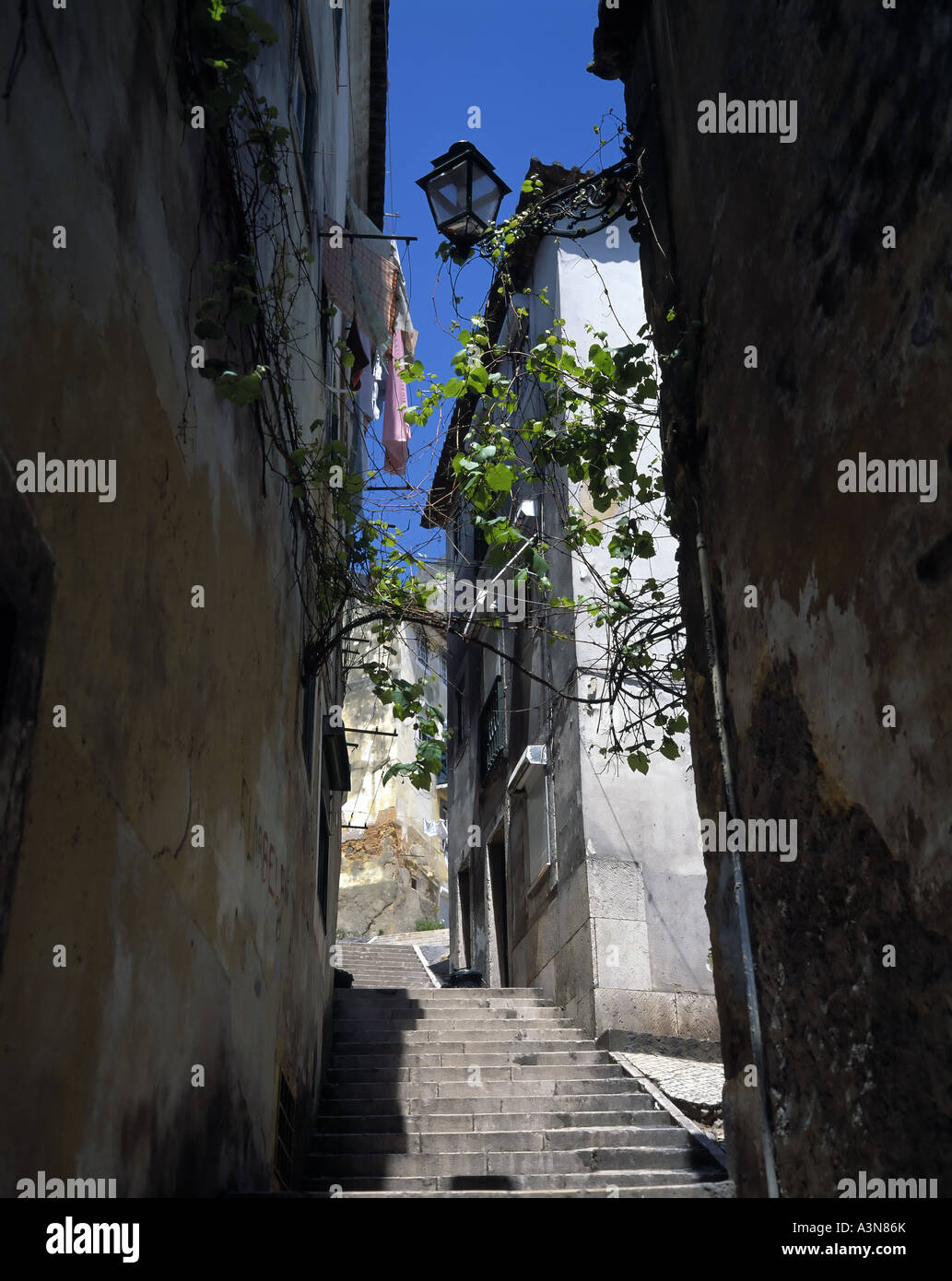 HOUSES AND STEPS ALFAMA DISTRICT LISBON PORTUGAL EUROPE Stock Photo - Alamy