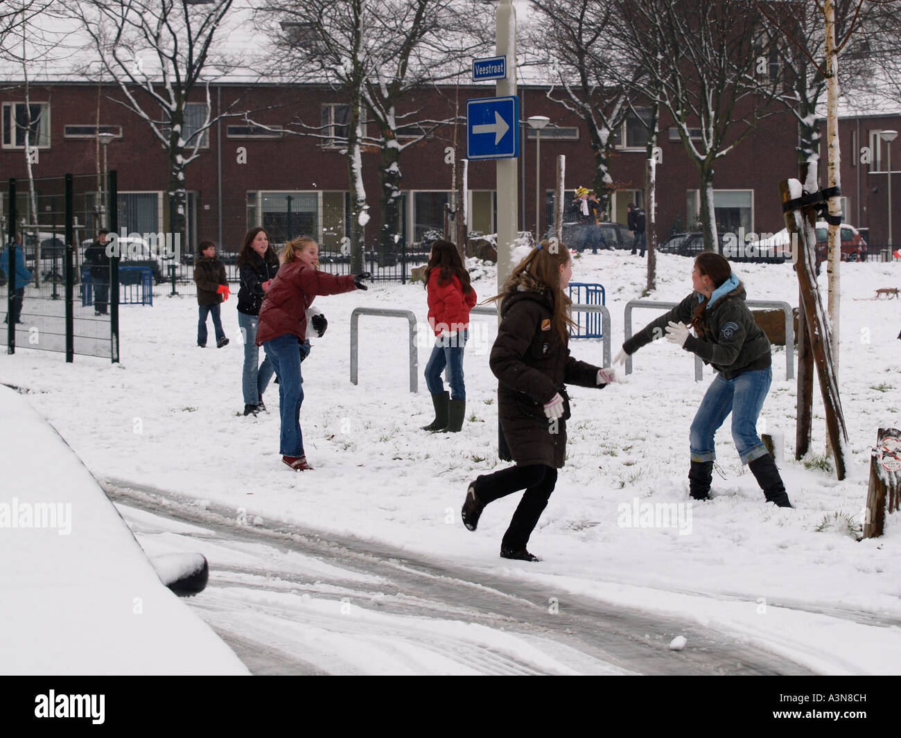 Teenage girls having a snowball fight winter fun in Breda the ...
