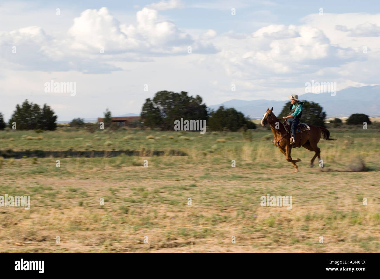 Cowboy and running horse Stock Photo - Alamy