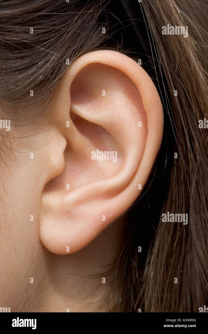 Ear lobe hi-res stock photography and images - Alamy