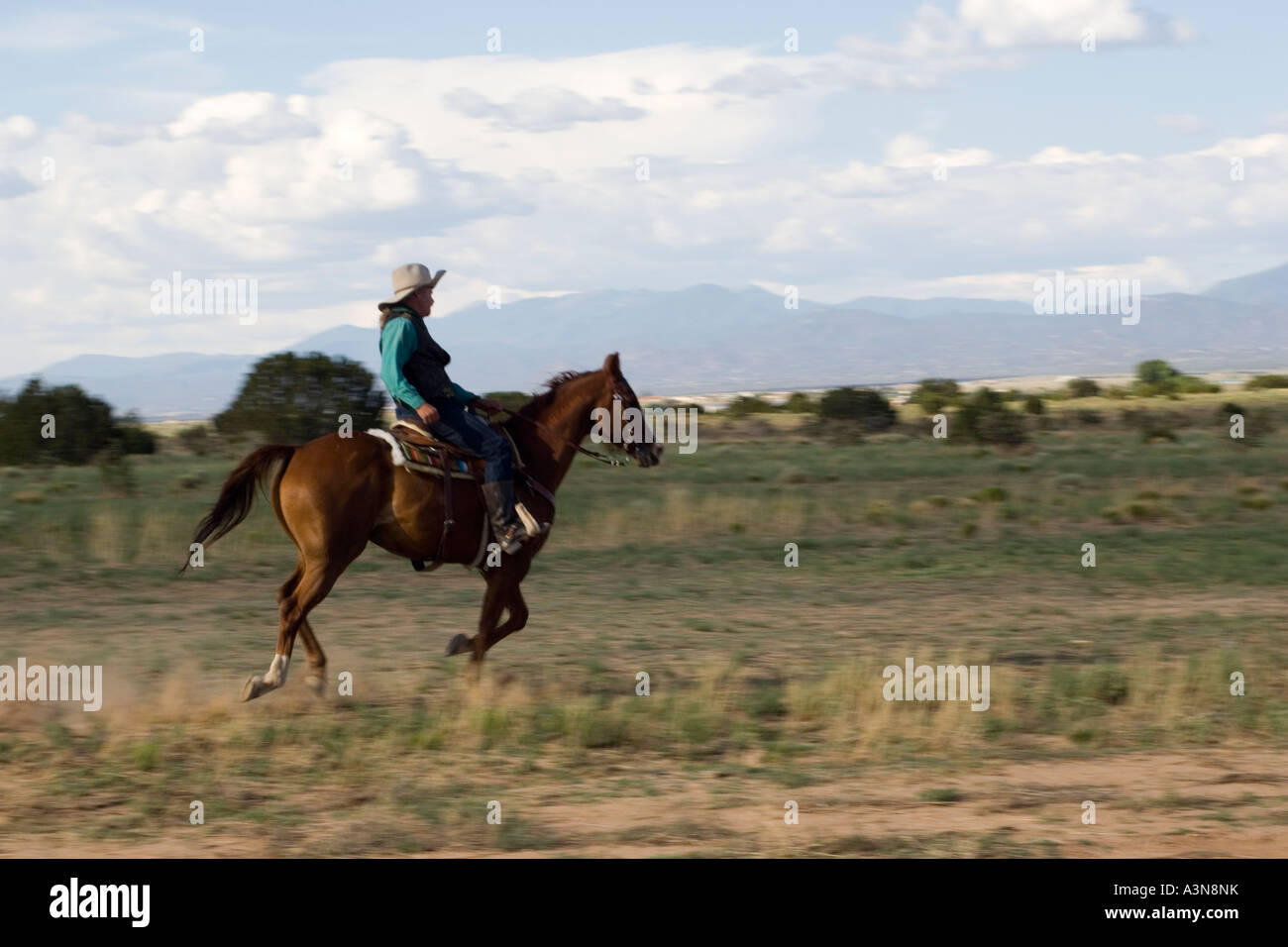 Cowboy and running horse Stock Photo - Alamy