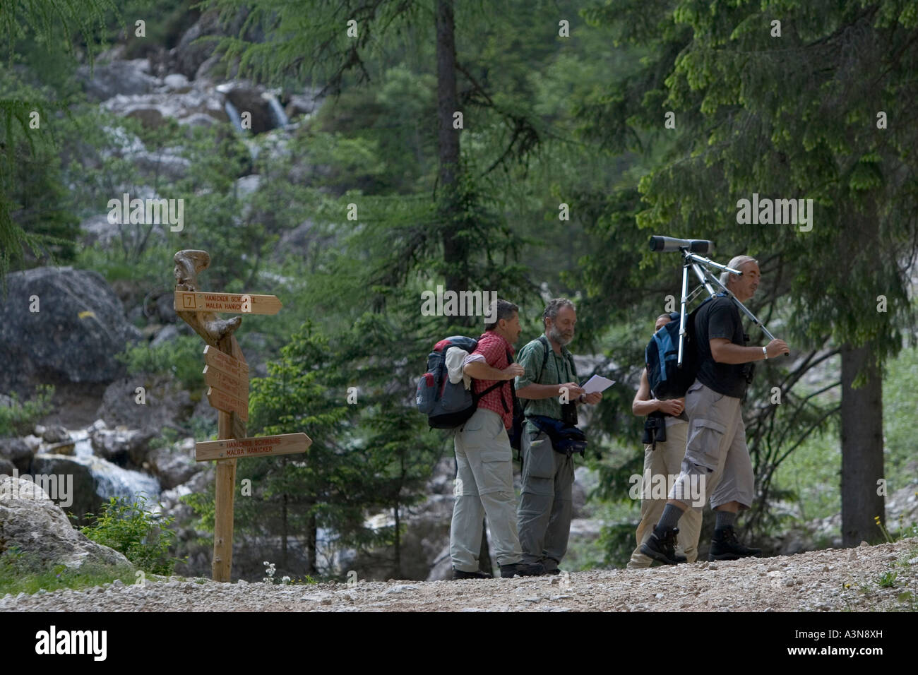 Group of people in the forest hi-res stock photography and images - Alamy