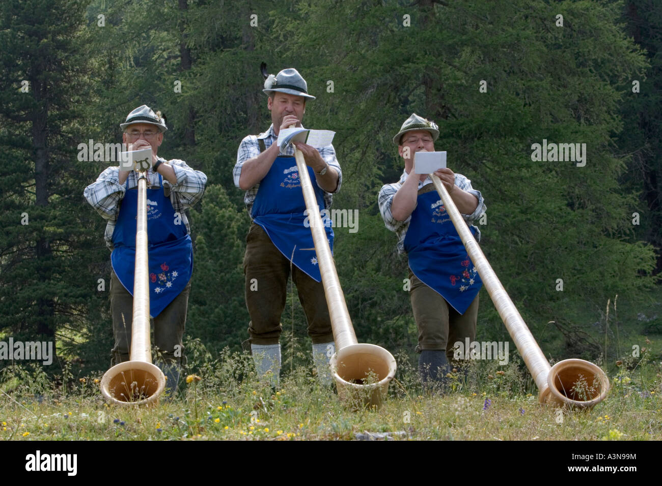 Men Playing Alpenhorn High Resolution Stock Photography and Images - Alamy