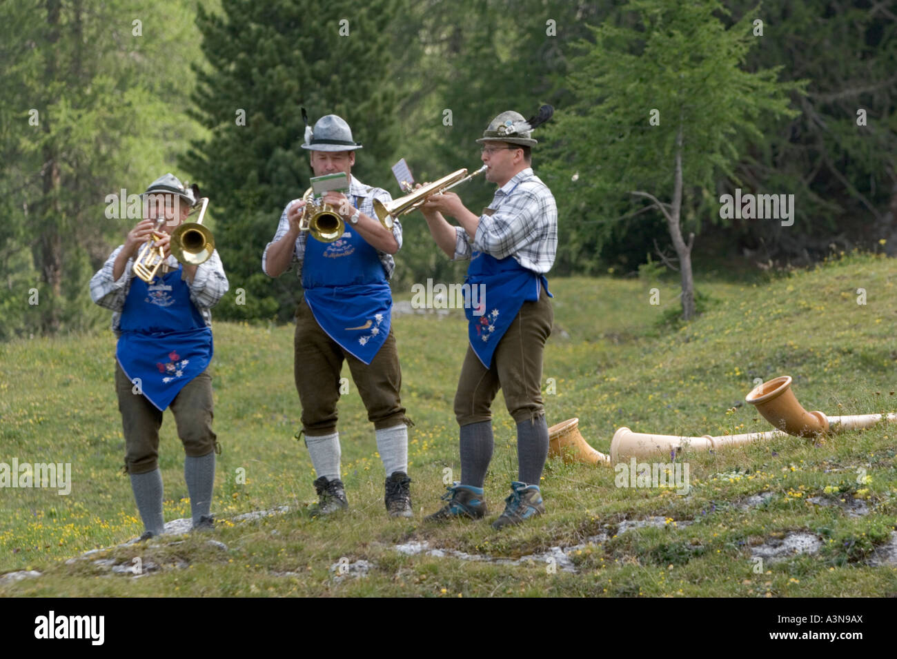 Playing traditional music on the mountainside, Dolomites, Italy Stock ...