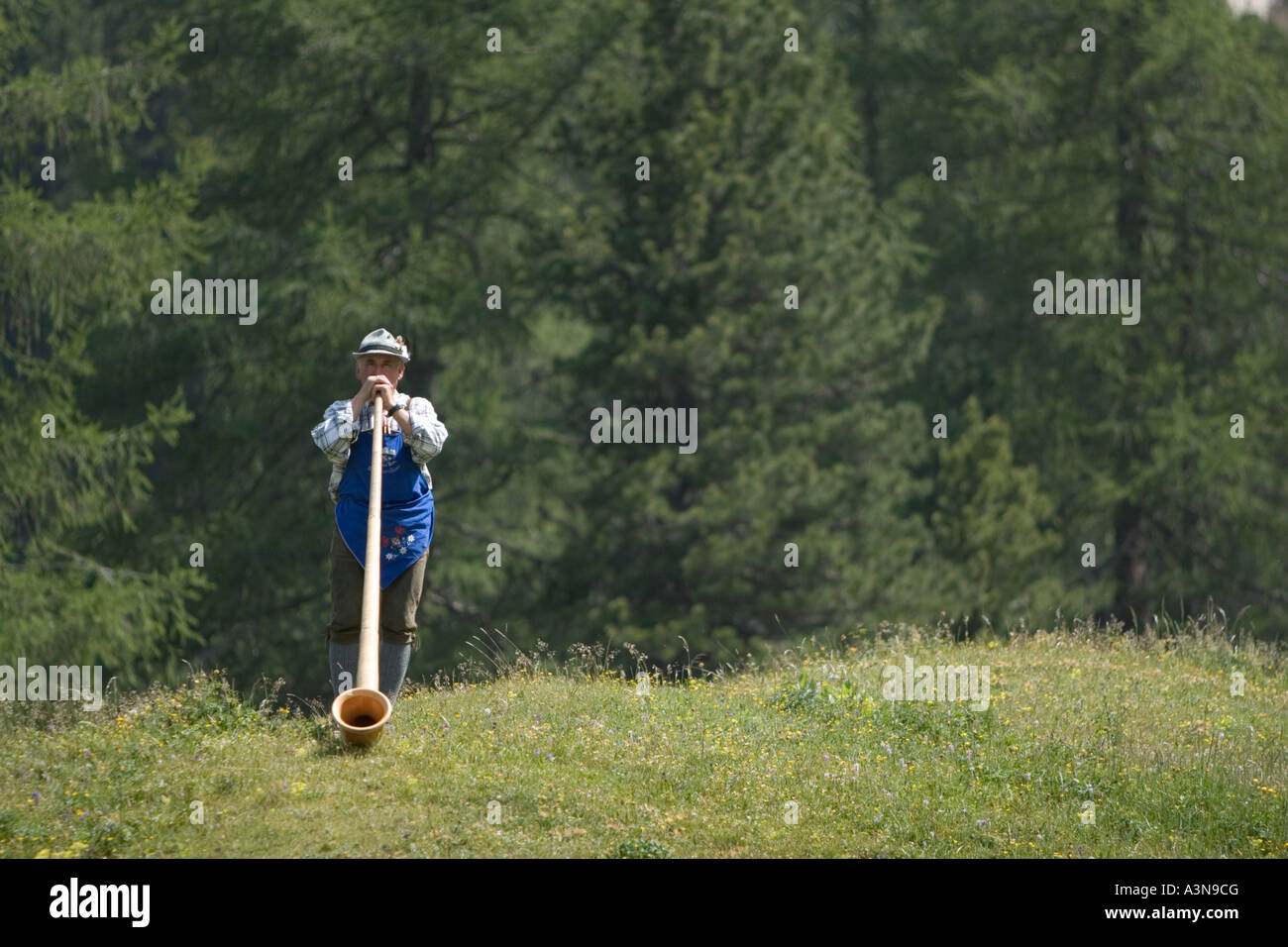 Man playing alphorn alpenhorn alpine hi-res stock photography and ...