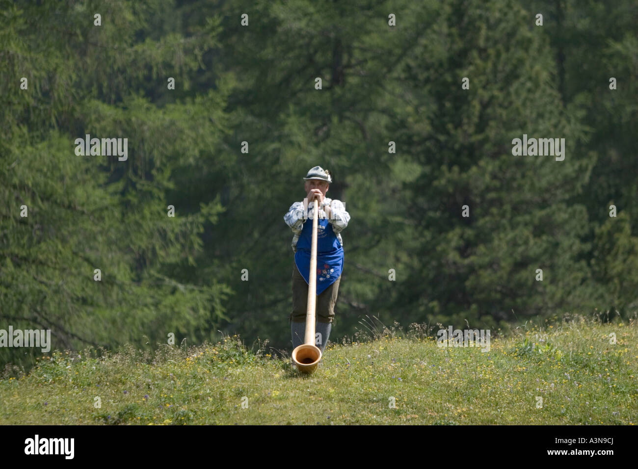 Playing of the traditional Alphorn, Dolomites, Italy Stock Photo - Alamy