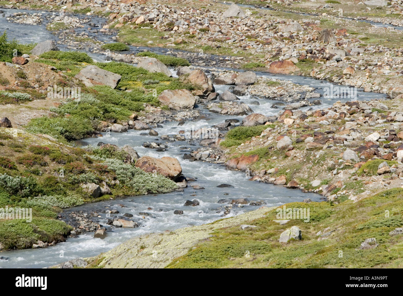 Plimabach river in upper Martell valley Stock Photo - Alamy