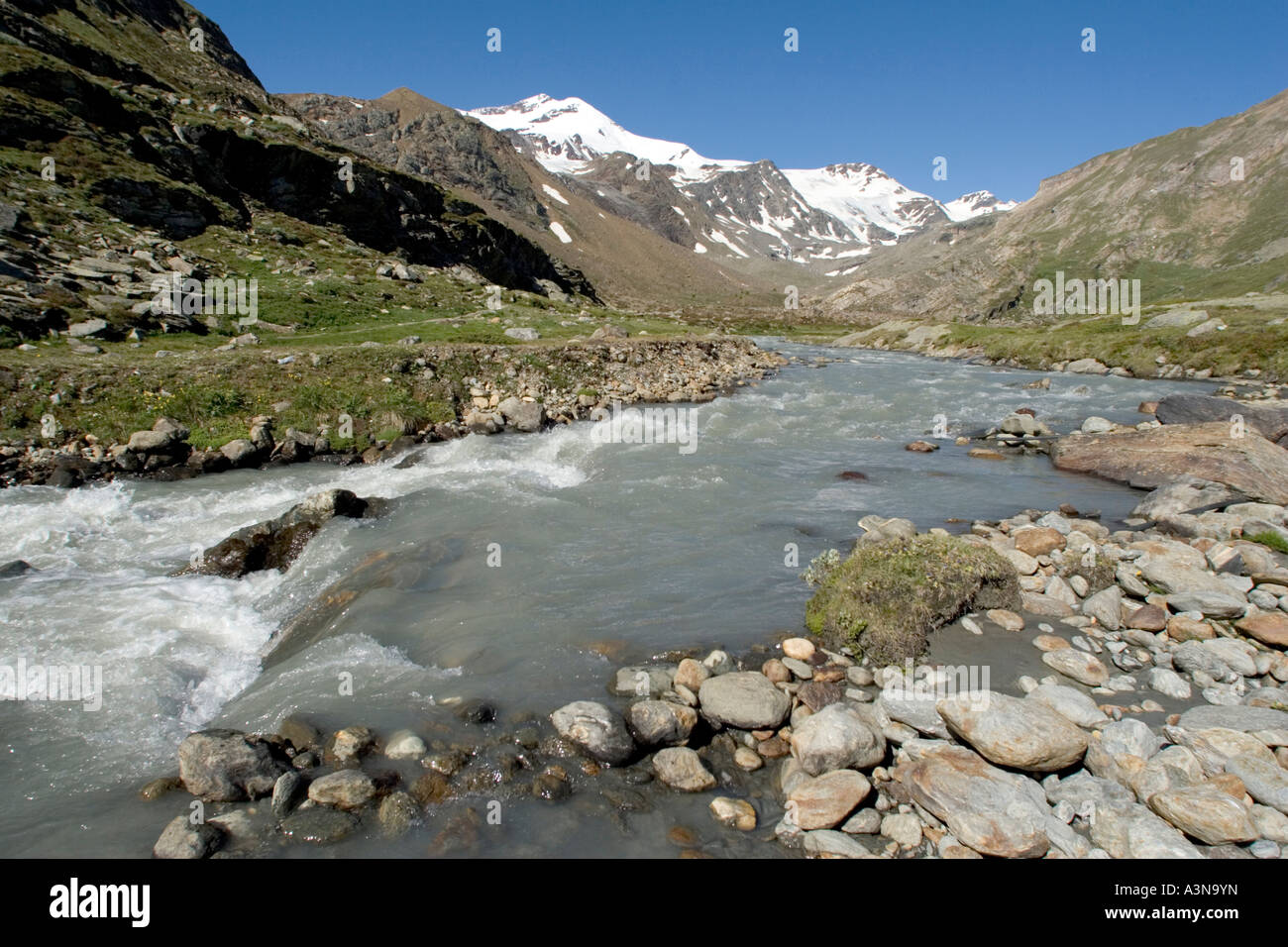 Plimabach river in upper Martell valley with the Cevedale glacier in ...