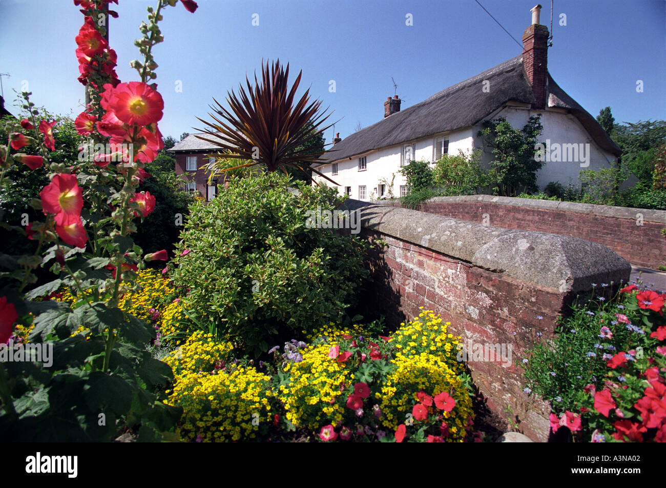 Walter raleigh birth place hi-res stock photography and images - Alamy