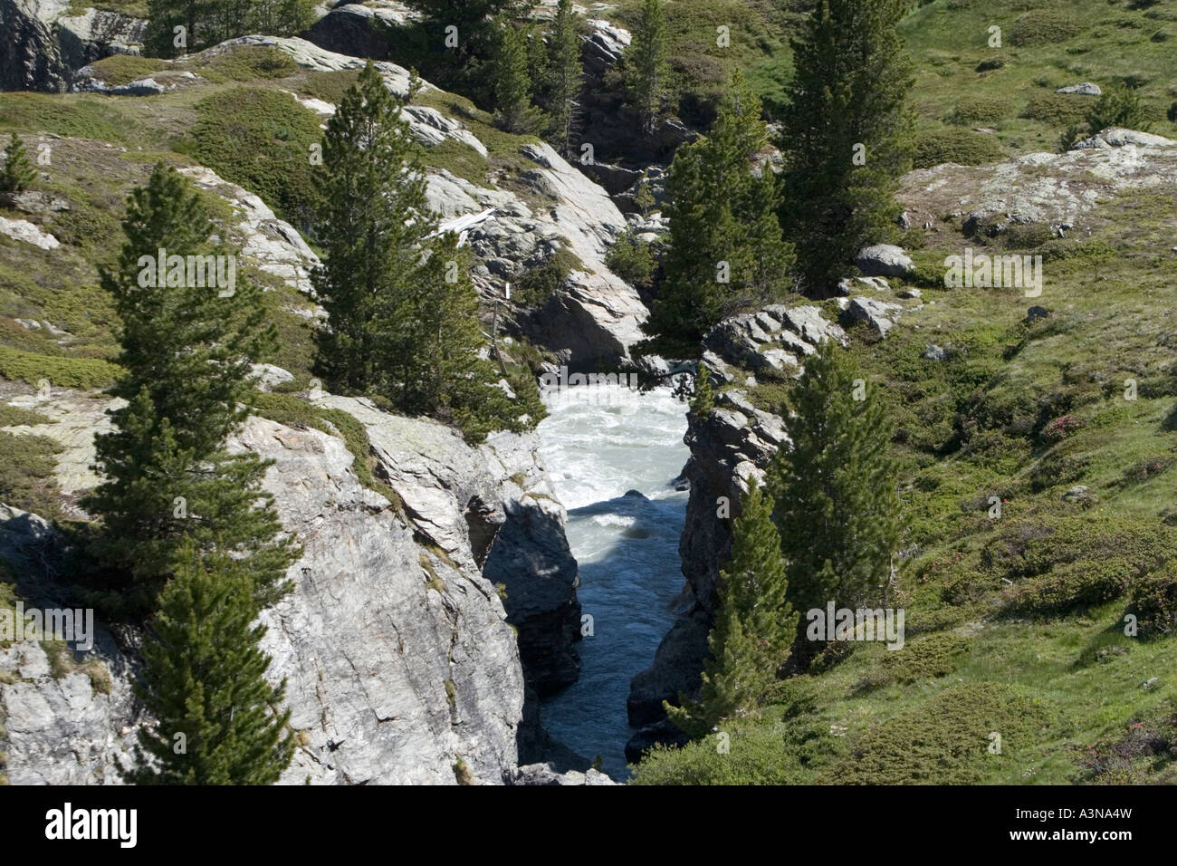 Snow melt and glacial melt water forms a river in Martell valley South ...